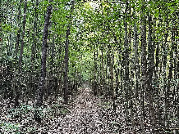 Historic 1864 Hand-Hewn Log Cabin on Over Sixty-Six Acres – Sanideas