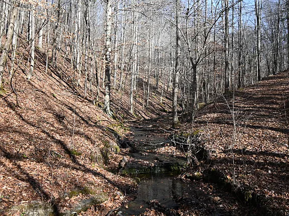 51.5 Acres of Secluded Hunting Land with Cabin, Natural Springs, and ...