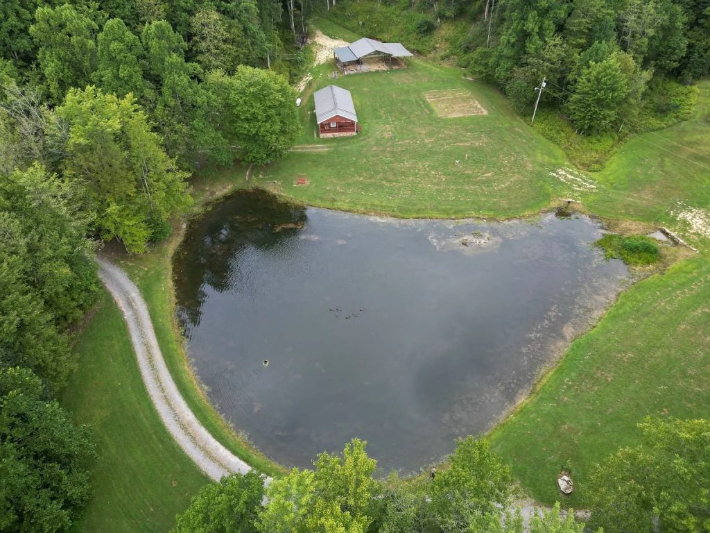 Secluded 11+ Acre Off-Grid Property with Pond in Cave, West Virginia ...
